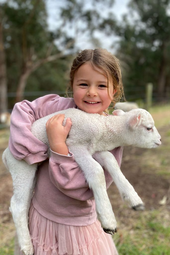 Image Gallery – Runnymede Farm